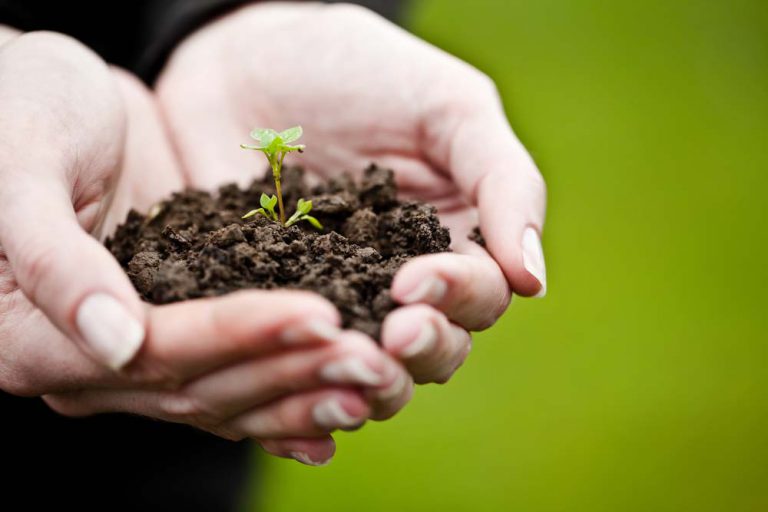 Our Roots - Por La Mar Nursery in Santa Barbara, California